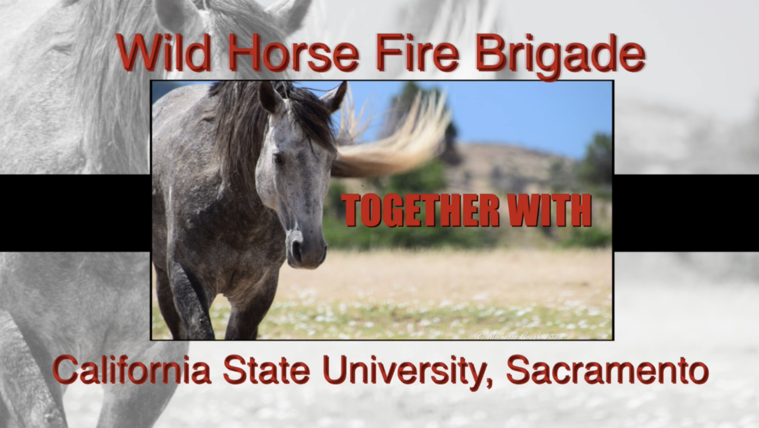 CAL-STATE University, Sacramento students complete new Wild Horse ...