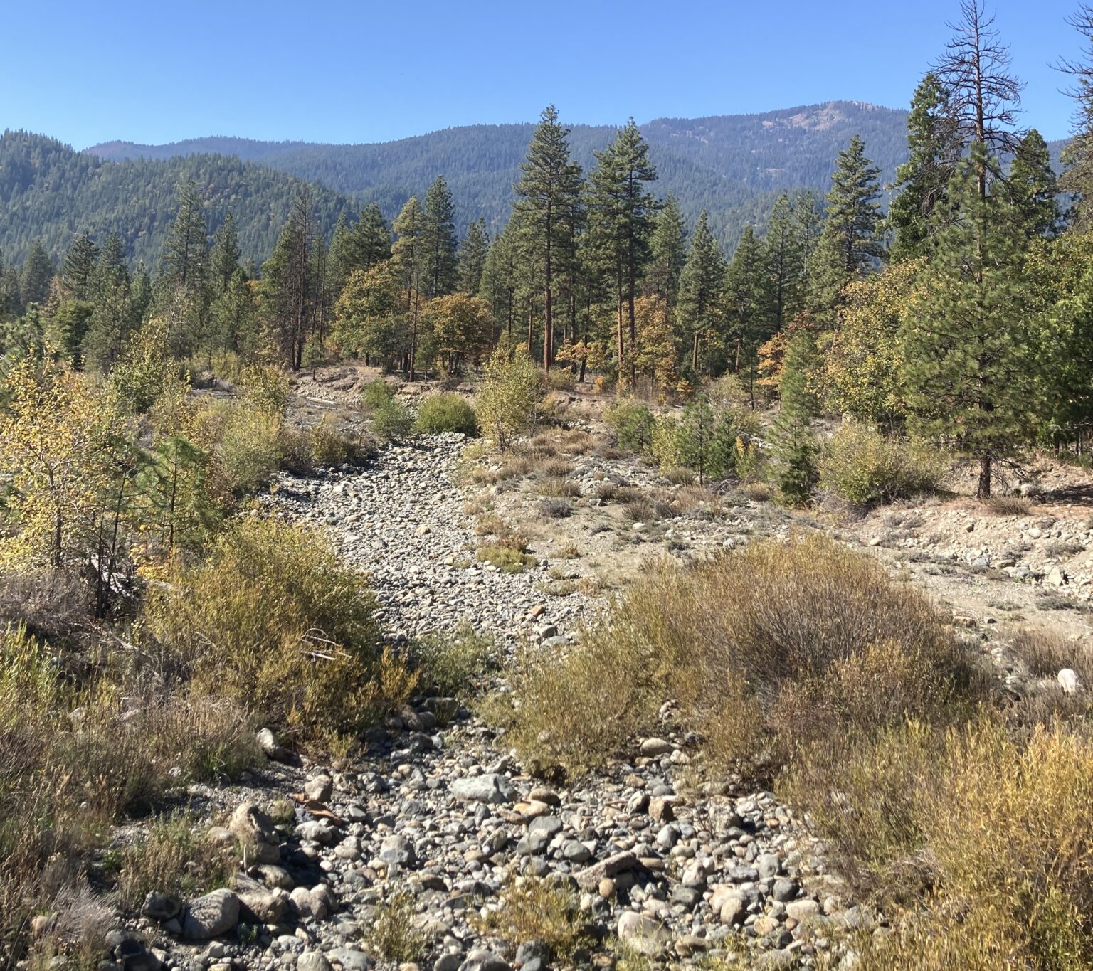 Water Board steps in 3rd time to manage minimum flows in Scott River ...