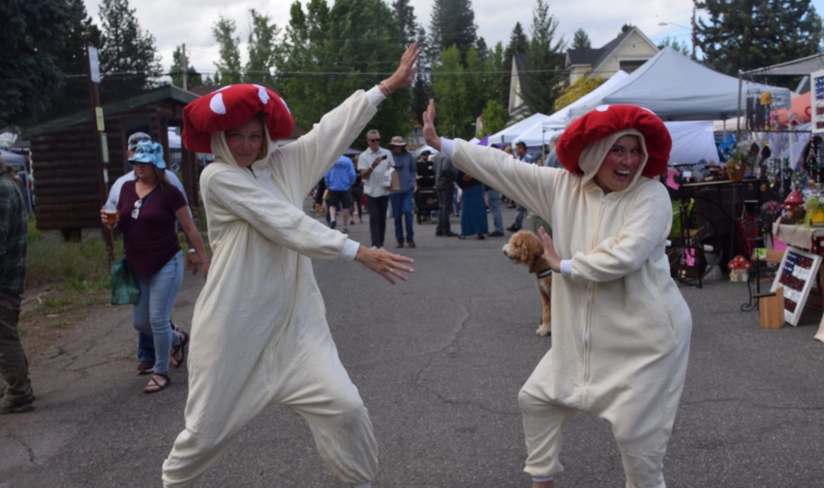 The 20th Annual McCloud Mushroom Festival: biggest and best mushroom ...