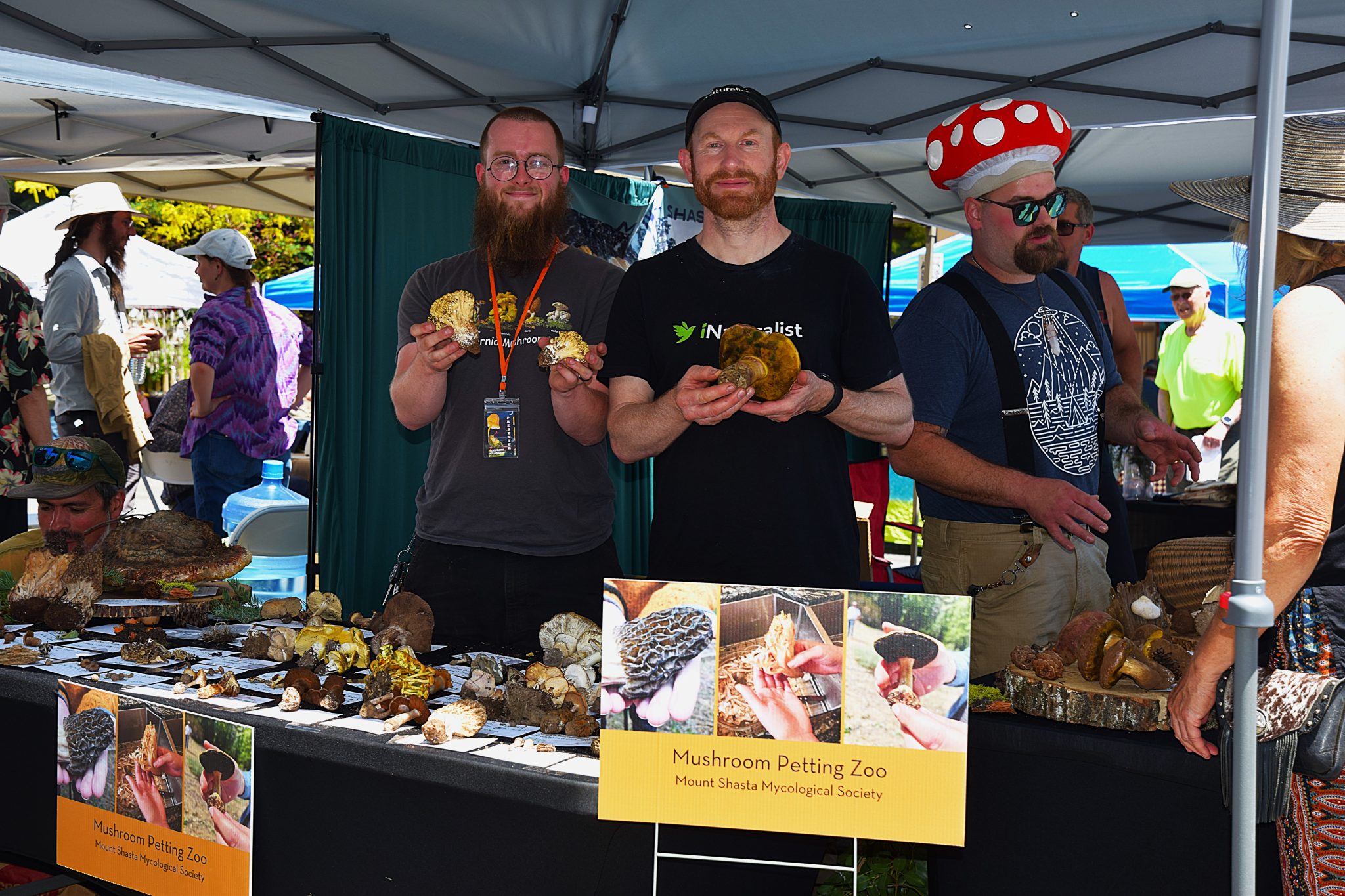 McCloud’s 21st Annual Mushroom, Wine, Music and Artisan Festival ...