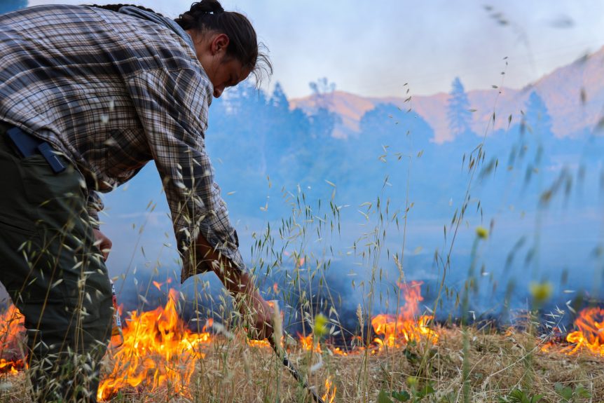 Karuk Tribe’s Fire Stewardship Shines Amid Wildfires – SISKIYOU NEWS