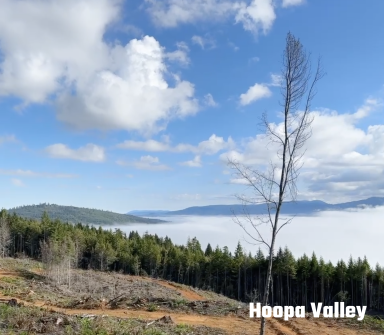 Trinity River Releases Set for Hoopa Boat Dance – SISKIYOU NEWS