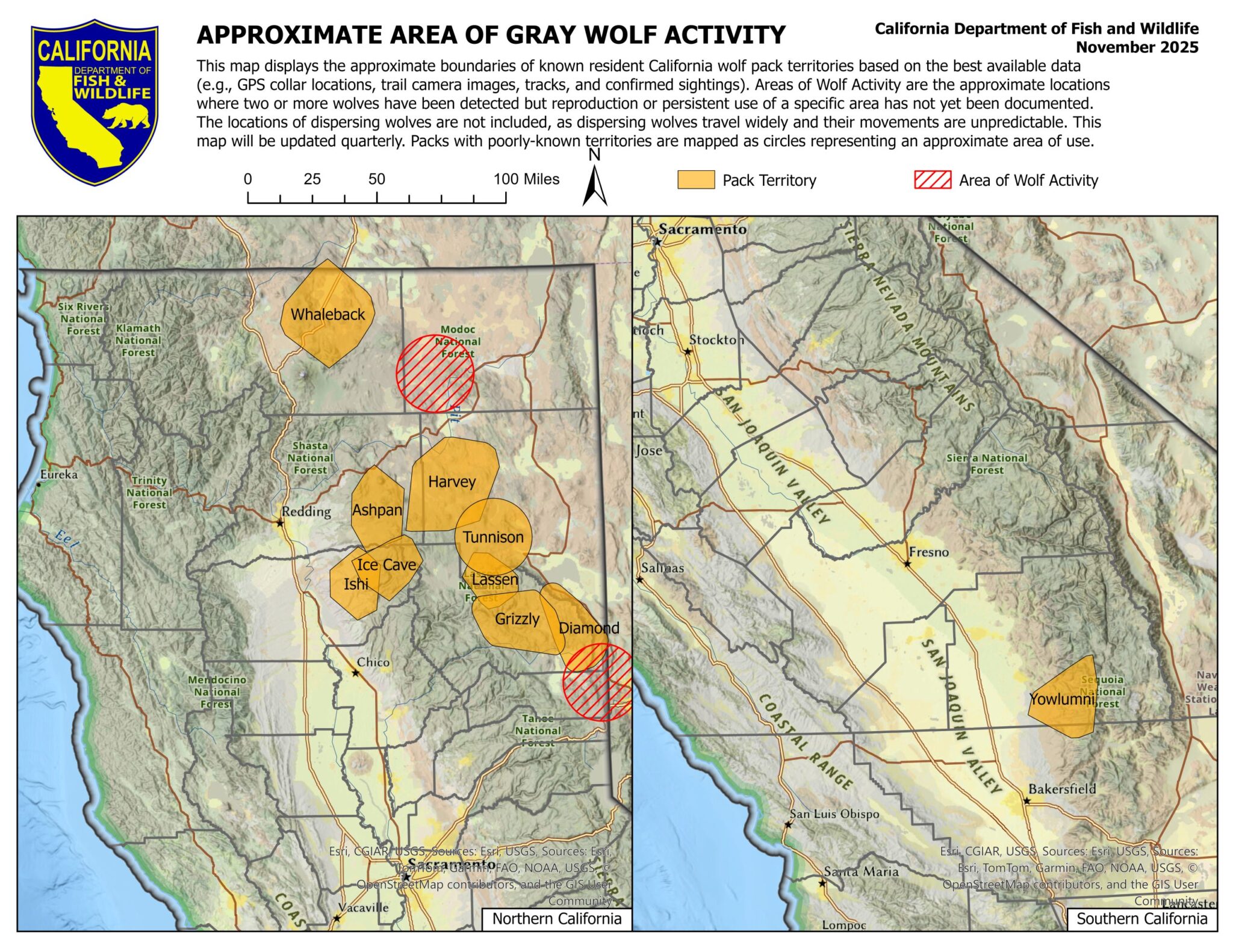Gray Wolf Update: Siskiyou County’s Whaleback Pack Shows Strong Growth ...